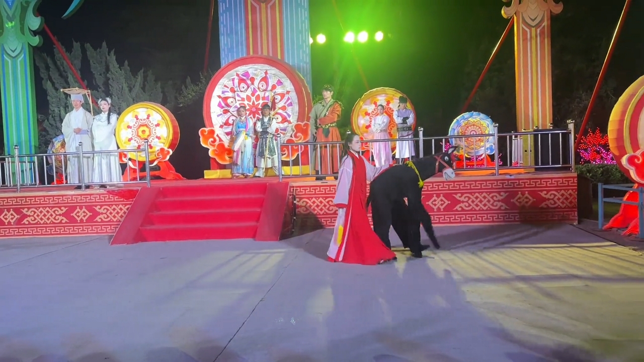 Donkey mascot startles crowd in Henan show