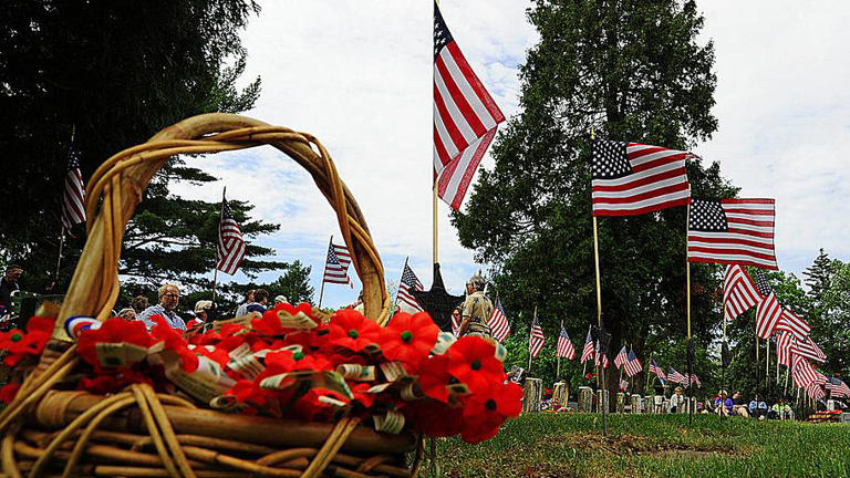 Why people wear poppies on Memorial Day