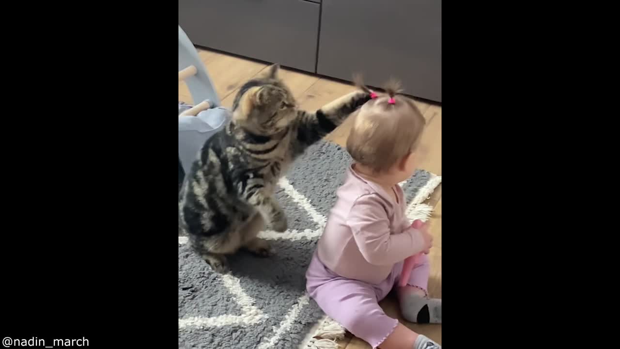This cat just wouldn't give up