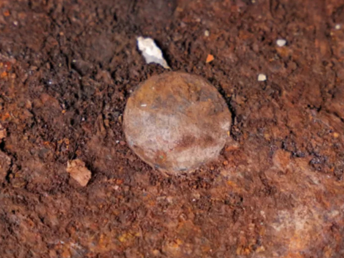 Six 19th-century coins found hidden under HMS Victory's masts ...