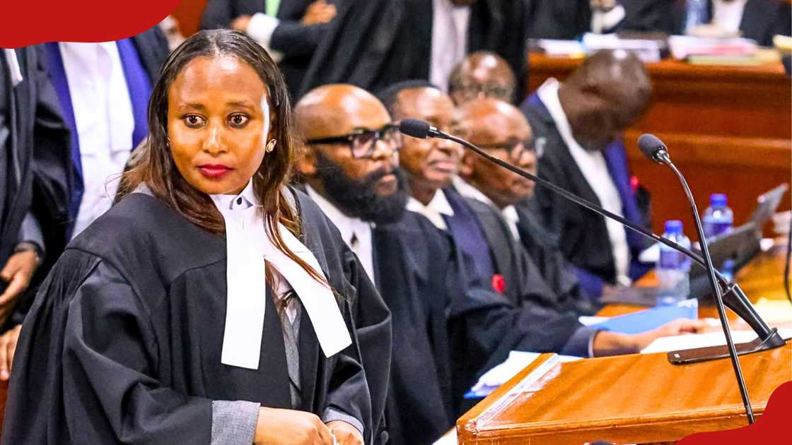 Lawyer Njeri Maina accuses opposing counsel of misleading court in ...