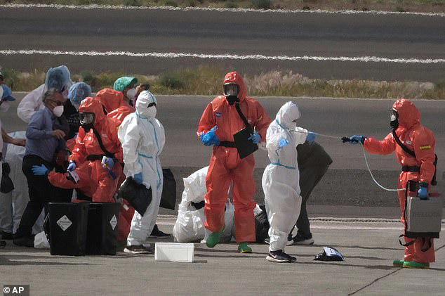 Rat virus cruise ship crew member is hospitalised after testing ...