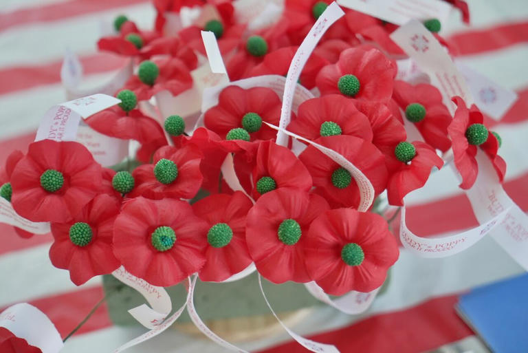 The state’s largest Buddy Poppy drive for veterans is underway in ...