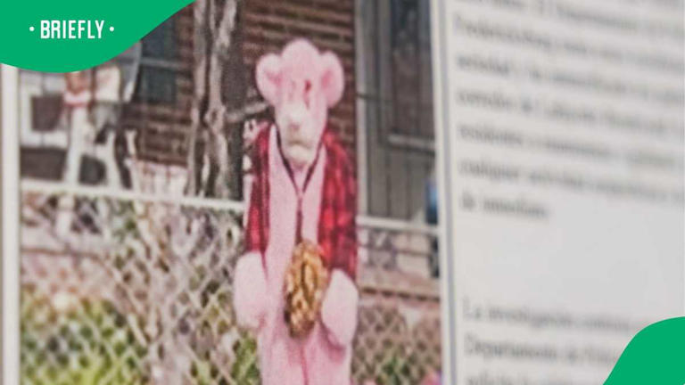 Fredericksburg police investigate Pink Panther costume mystery near ...