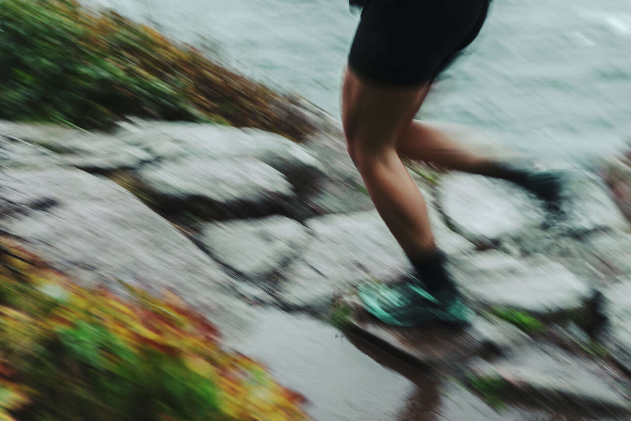 Terns: How a trail race through Grafton's woods changed my mindset