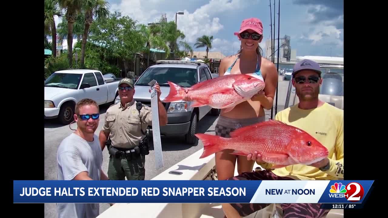 Federal judge halts Florida’s expanded red snapper season hours before ...