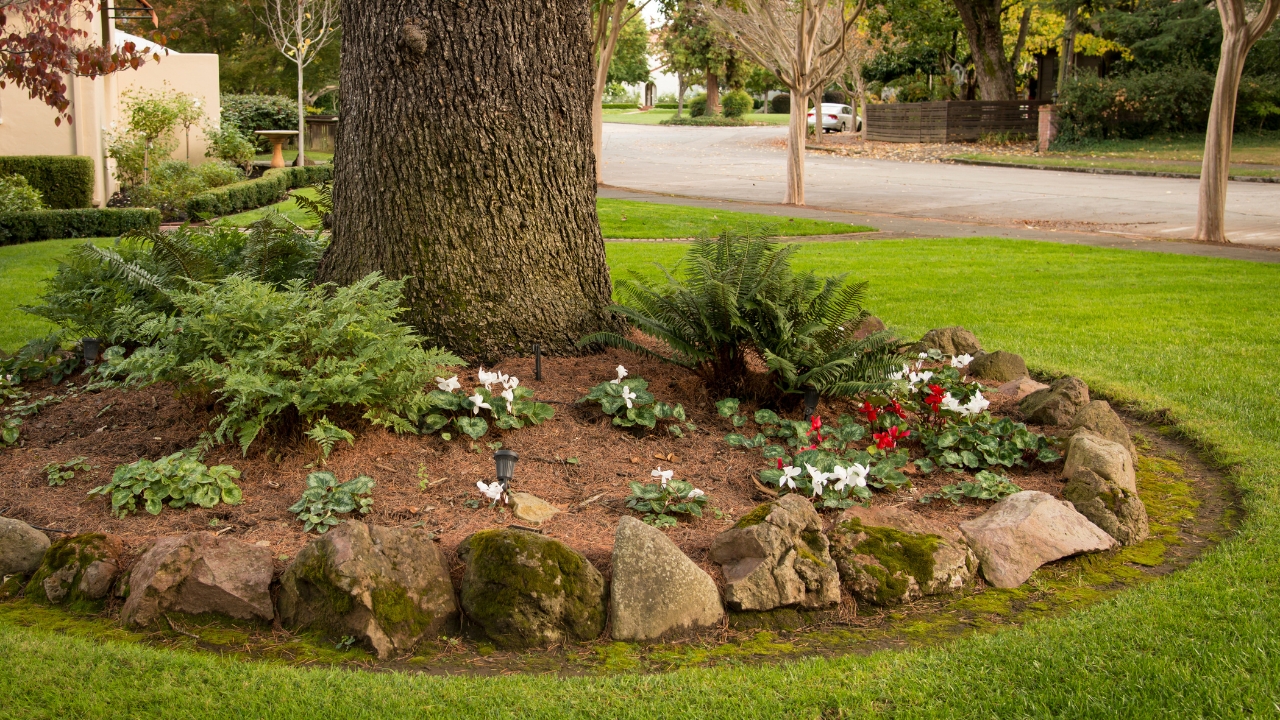 10 easy landscaping projects that make a big first impression
