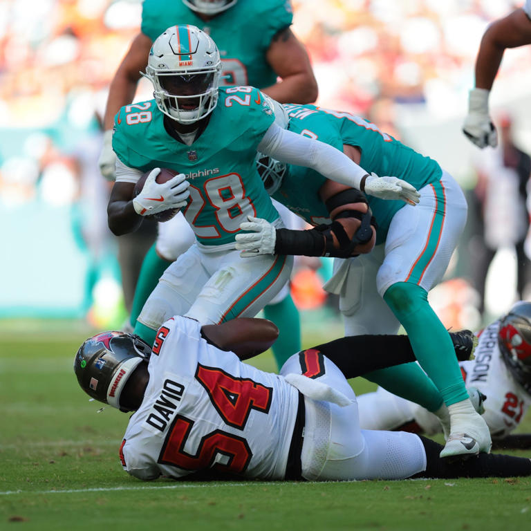 Find the best flight, hotel + car deals to see the Miami Dolphins in ...