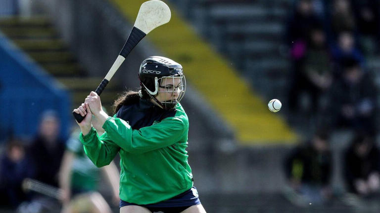Limerick's Sarah Gillane inspired by success and sacrifice of brothers ...