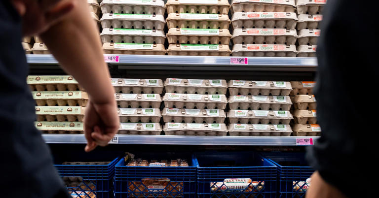 Egg prices are plunging due to oversupply — and producers say margins ...