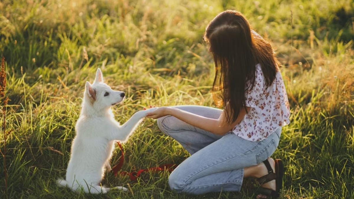 7 reasons dogs often have personalities similar to their owners ...