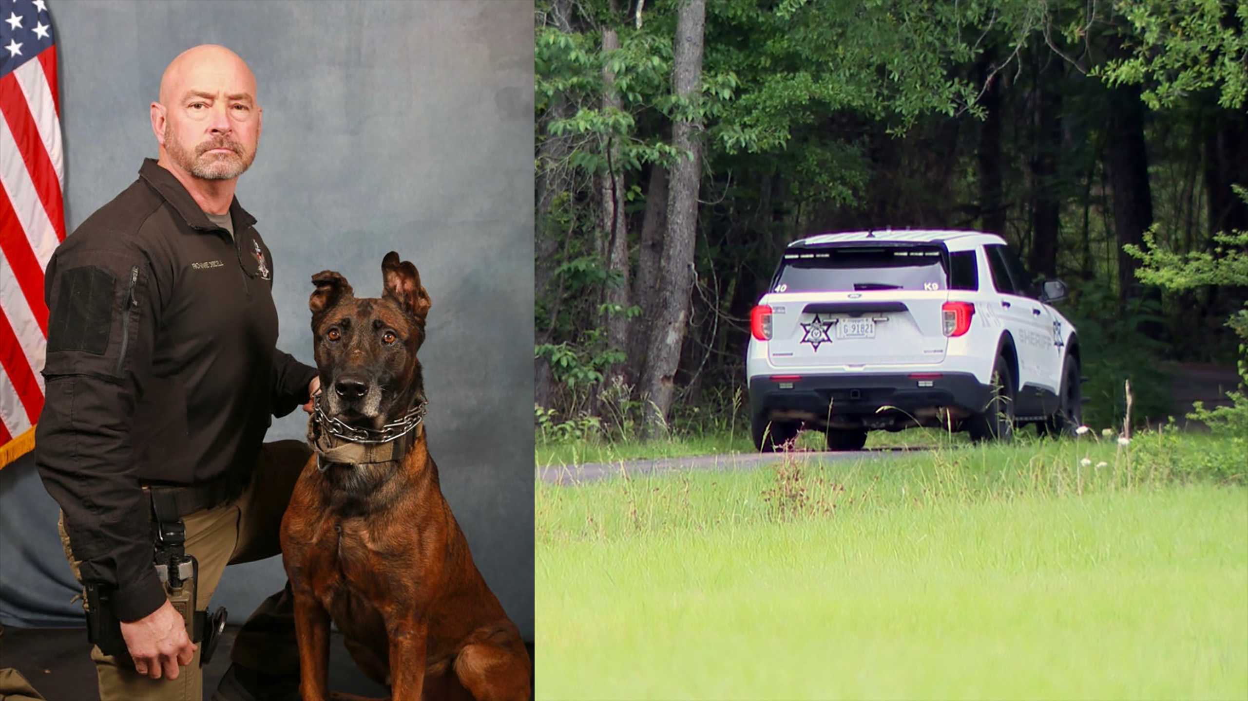 Rankin County K-9 suffers medical emergency during search for escapee