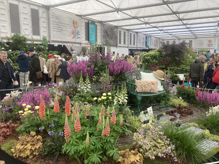 'Mission accomplished' - Leafy Lytham wins gold at RHS Chelsea Flower Show