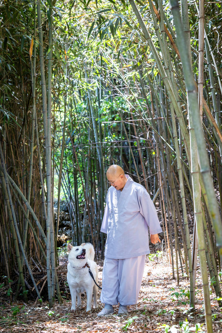 Temple cuisine, pilgrimage paths: Mindful retreats