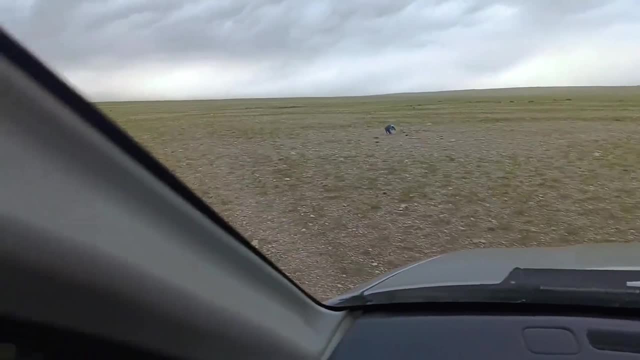 Strong winds send stool rolling across grassland in Inner Mongolia