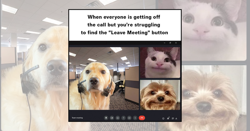 'You're muted': 31 video call memes worth sharing on your next online ...