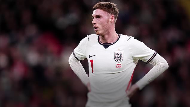 Chelsea head coach urges Cole Palmer to turn England heartbreak into ...