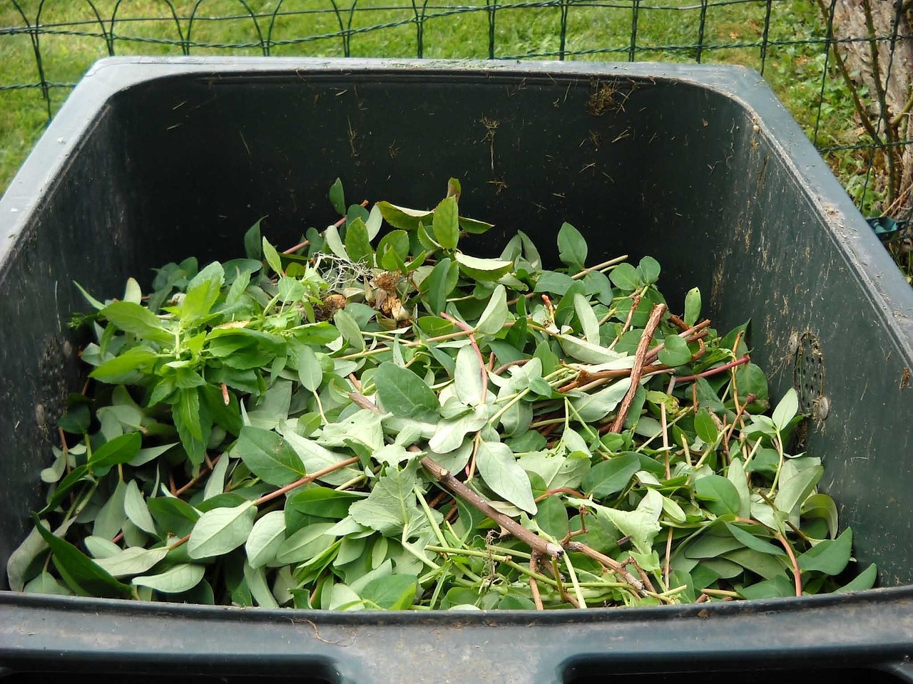 Why I changed my composting routine & what improved – environmental ...