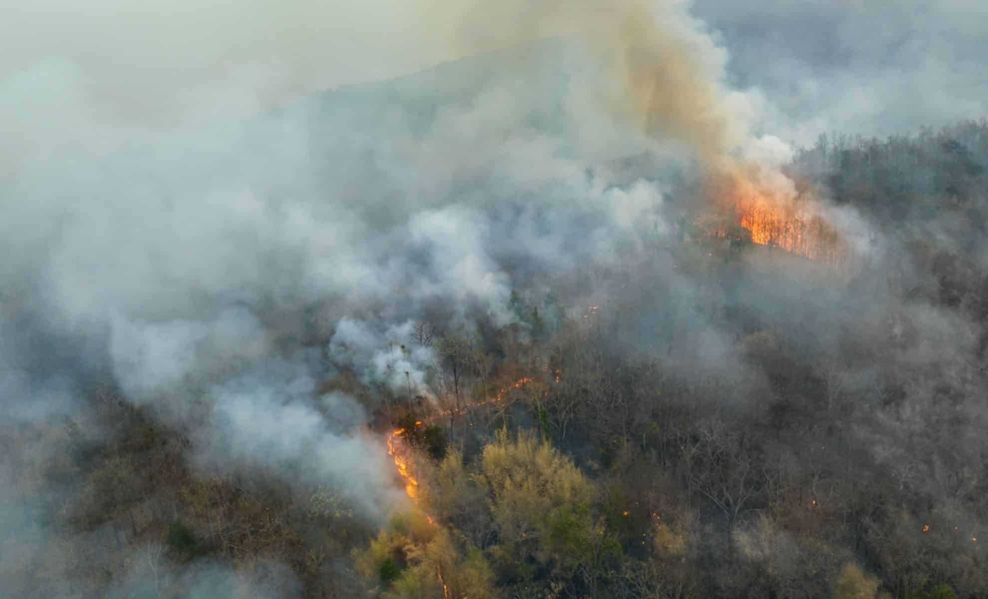 The super El Niño that could rewrite America’s weather this summer