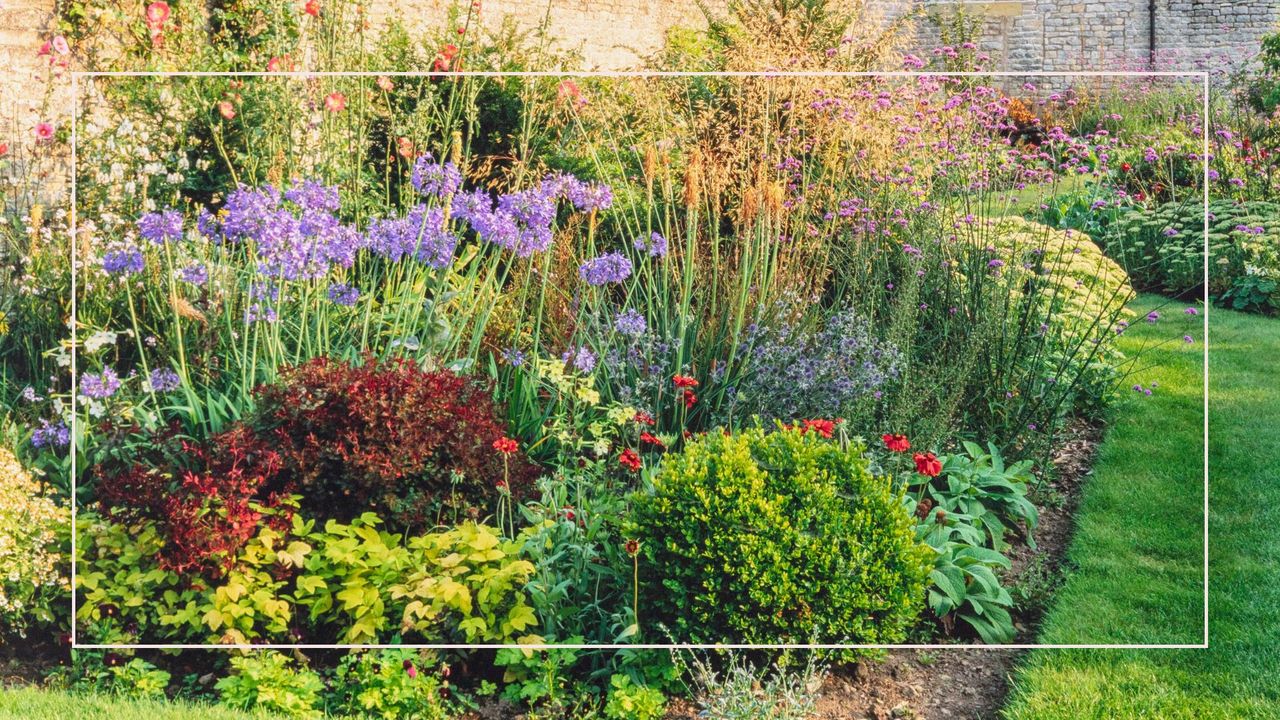 Should outdoor plants be watered every day in hot weather ...