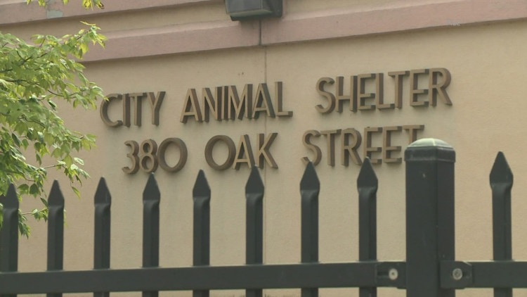 Buffalo Animal Shelter receives more than $400,000 to make improvements