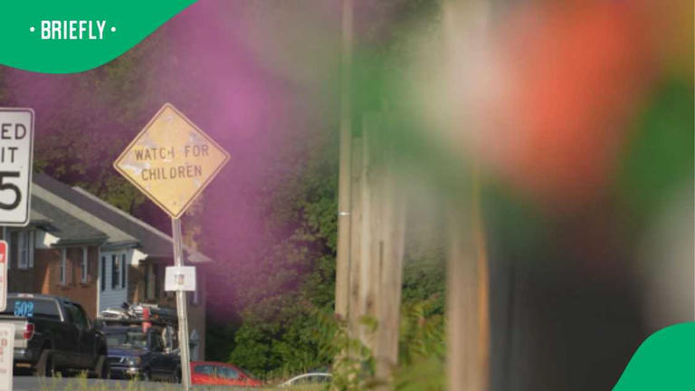 Fredericksburg police investigate Pink Panther costume mystery near ...