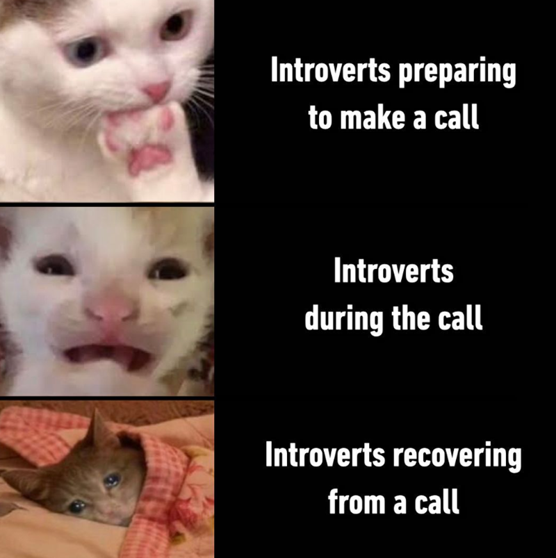 'You're muted': 31 video call memes worth sharing on your next online ...