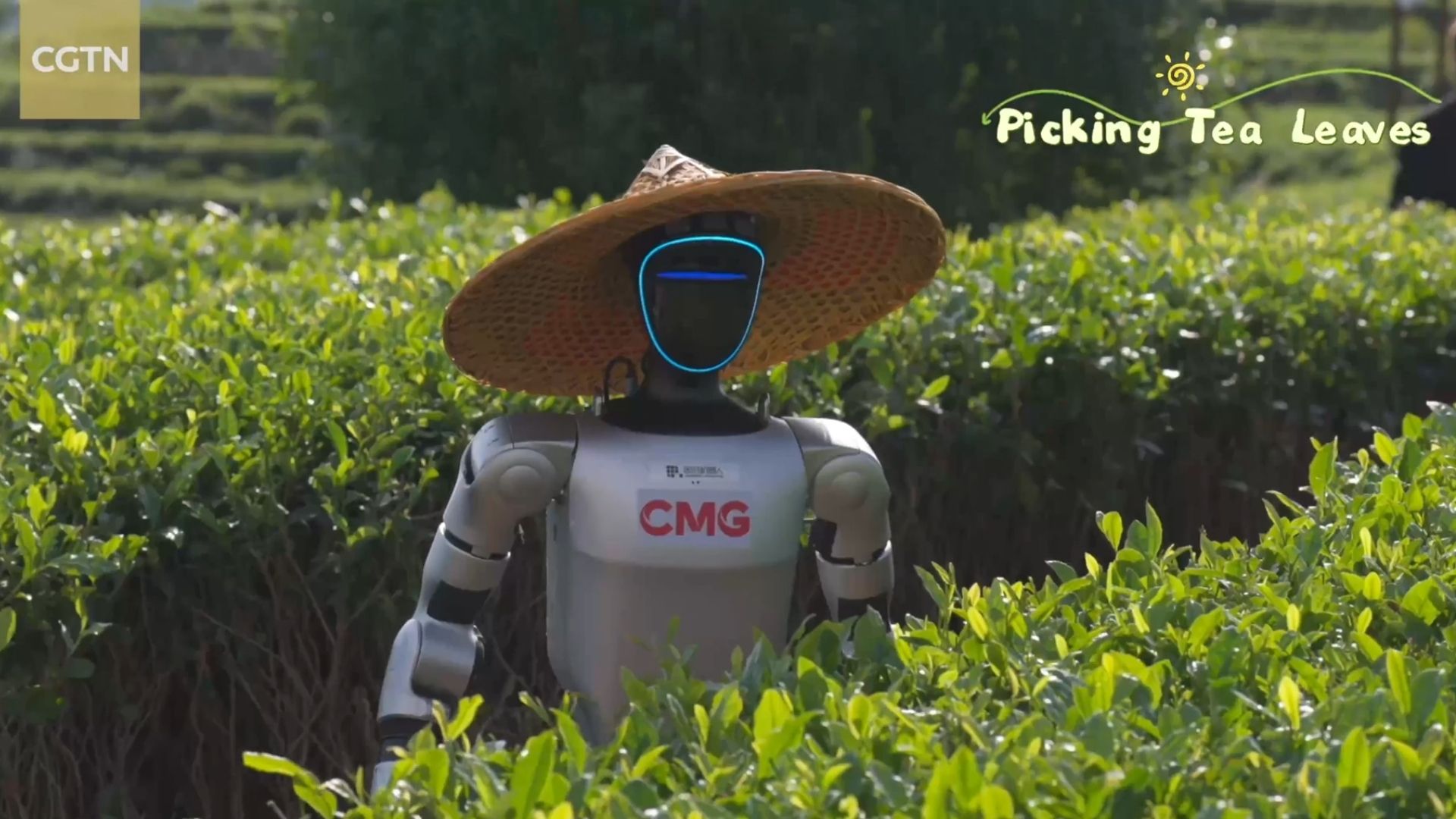 China tests humanoid robots in tea farms before the 2026 World Robot Games