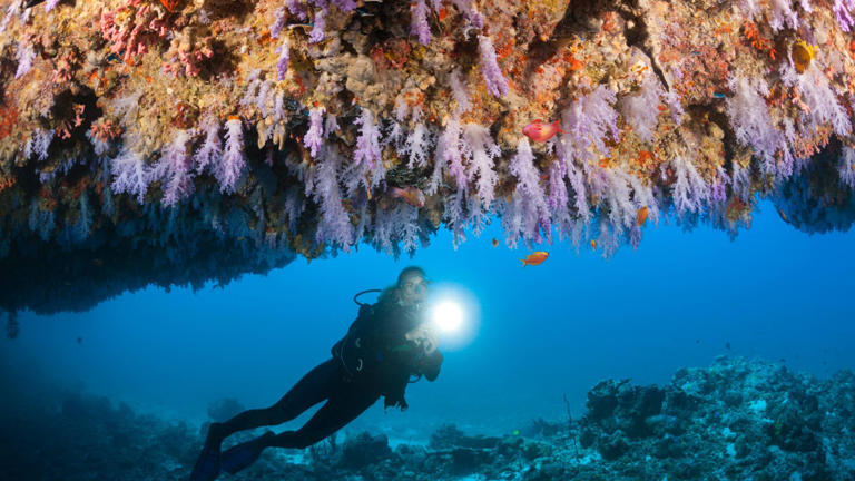 After 6 dead in a Maldives scuba tragedy, the safety lessons we need to ...