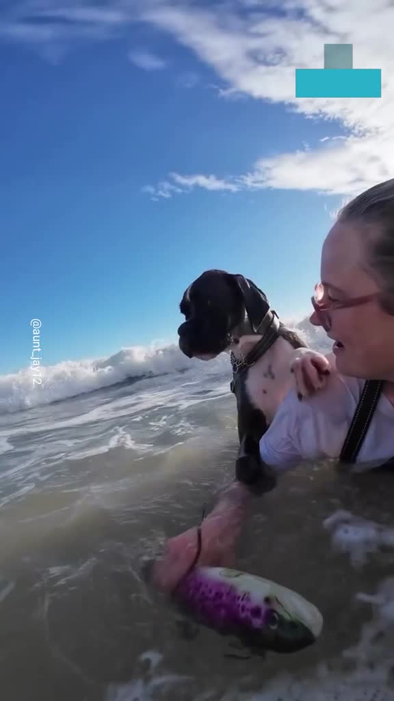 Ocean wave knocks off a woman’s glasses