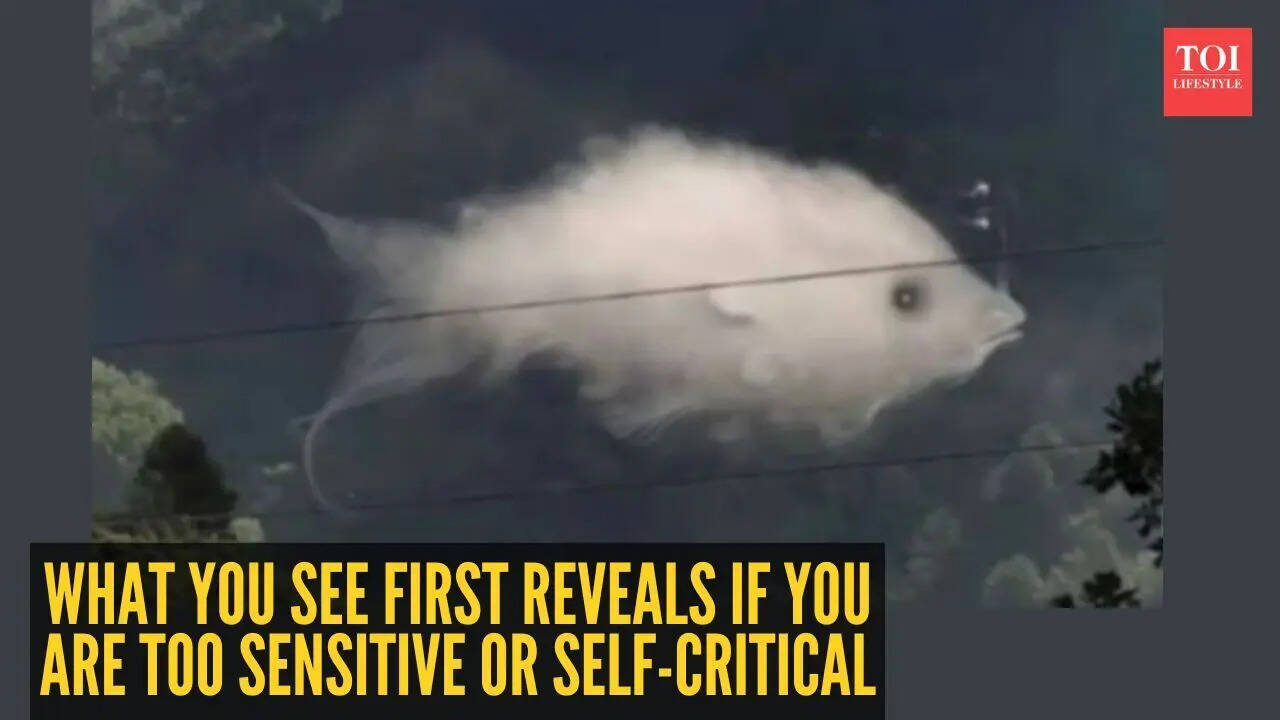 Optical illusion personality test: Fish or cloud? What you see first ...