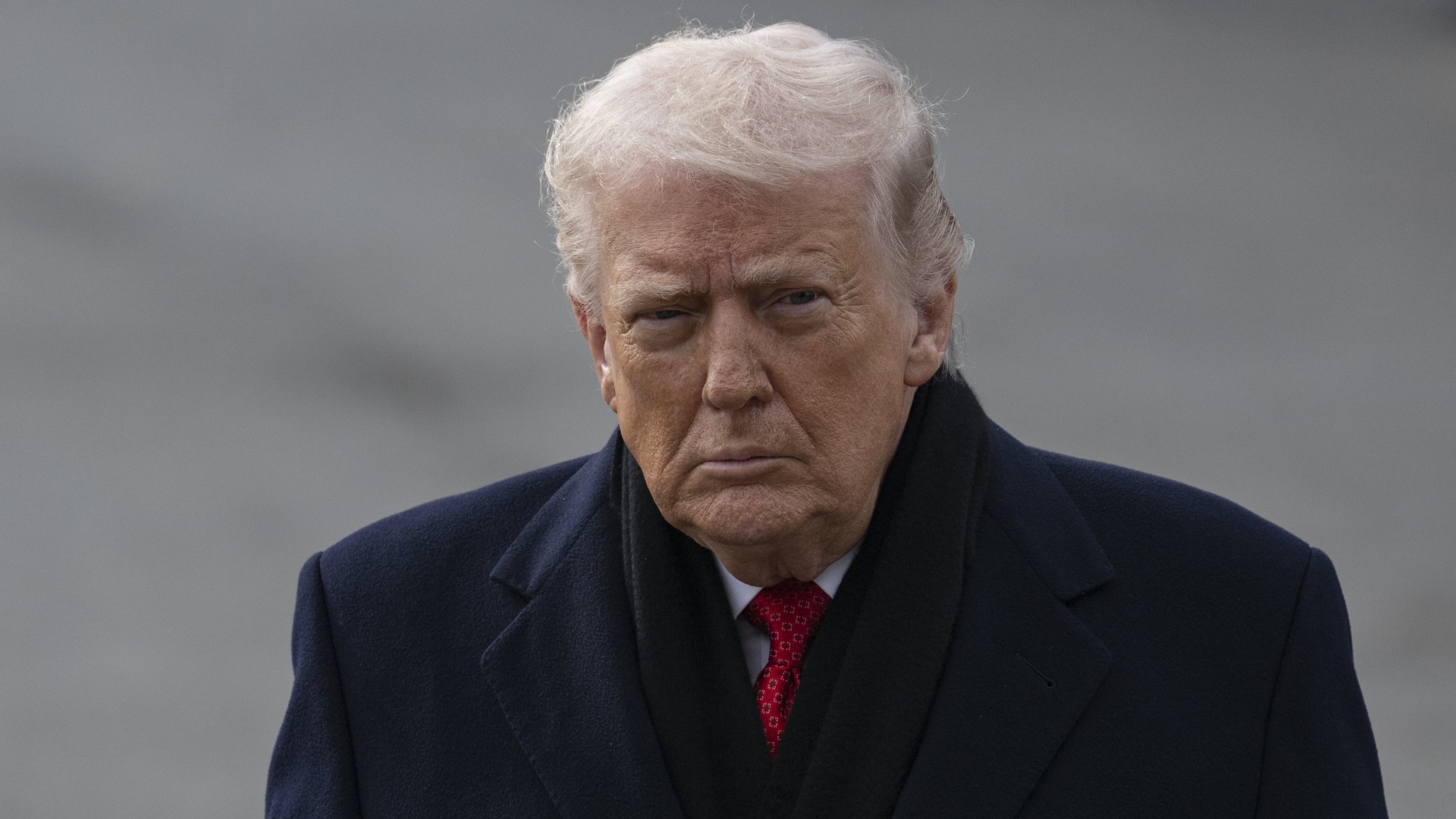 MAGA Conspiracy Theorist Who Hates Trump Is Shock 2028 Insurgent