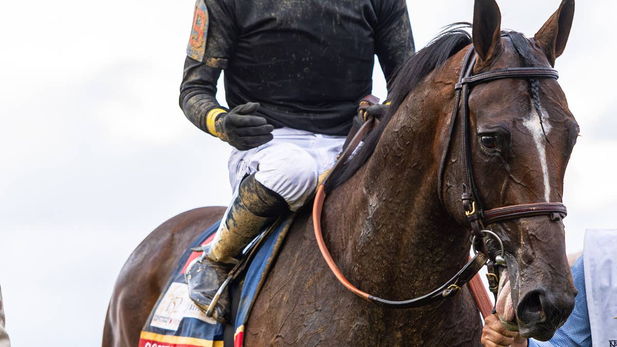 'He got a little sick': Golden Tempo likely to train up to Travers