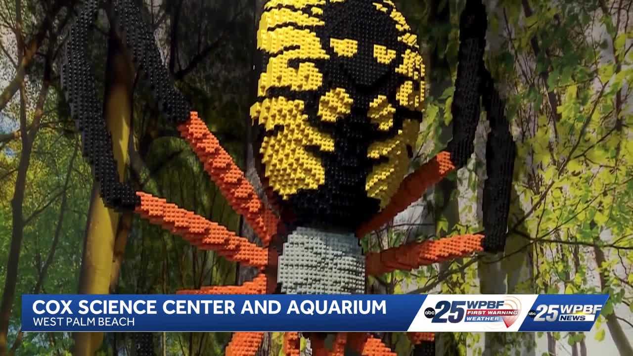 Lego exhibit opens at Cox Science Center and Aquarium
