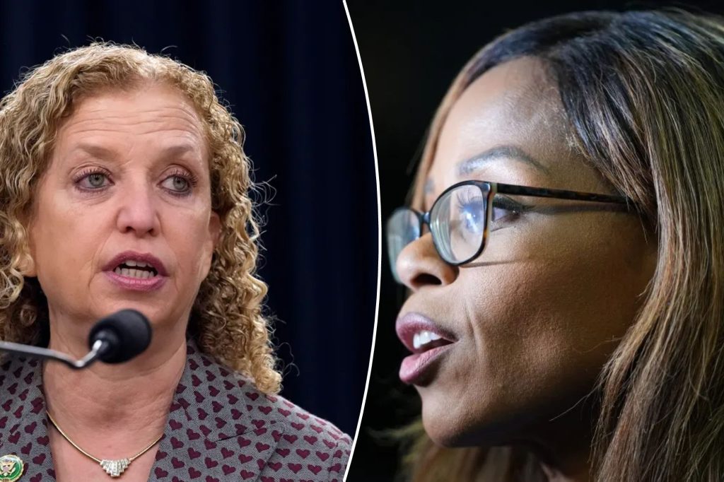 Wasserman Schultz makes bid for new district after Cherfilus-McCormick ...