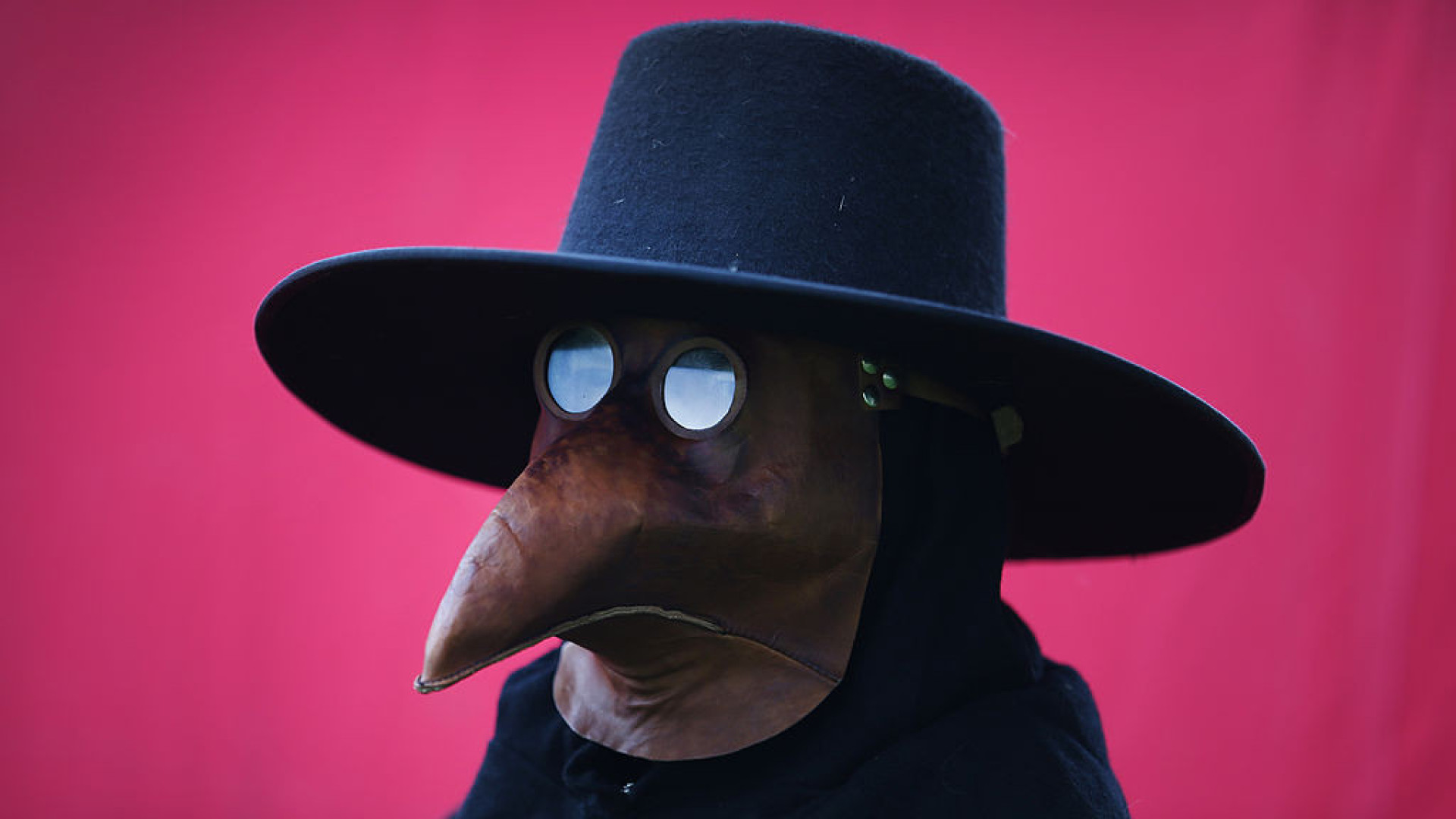 Things people did to survive the Black Death