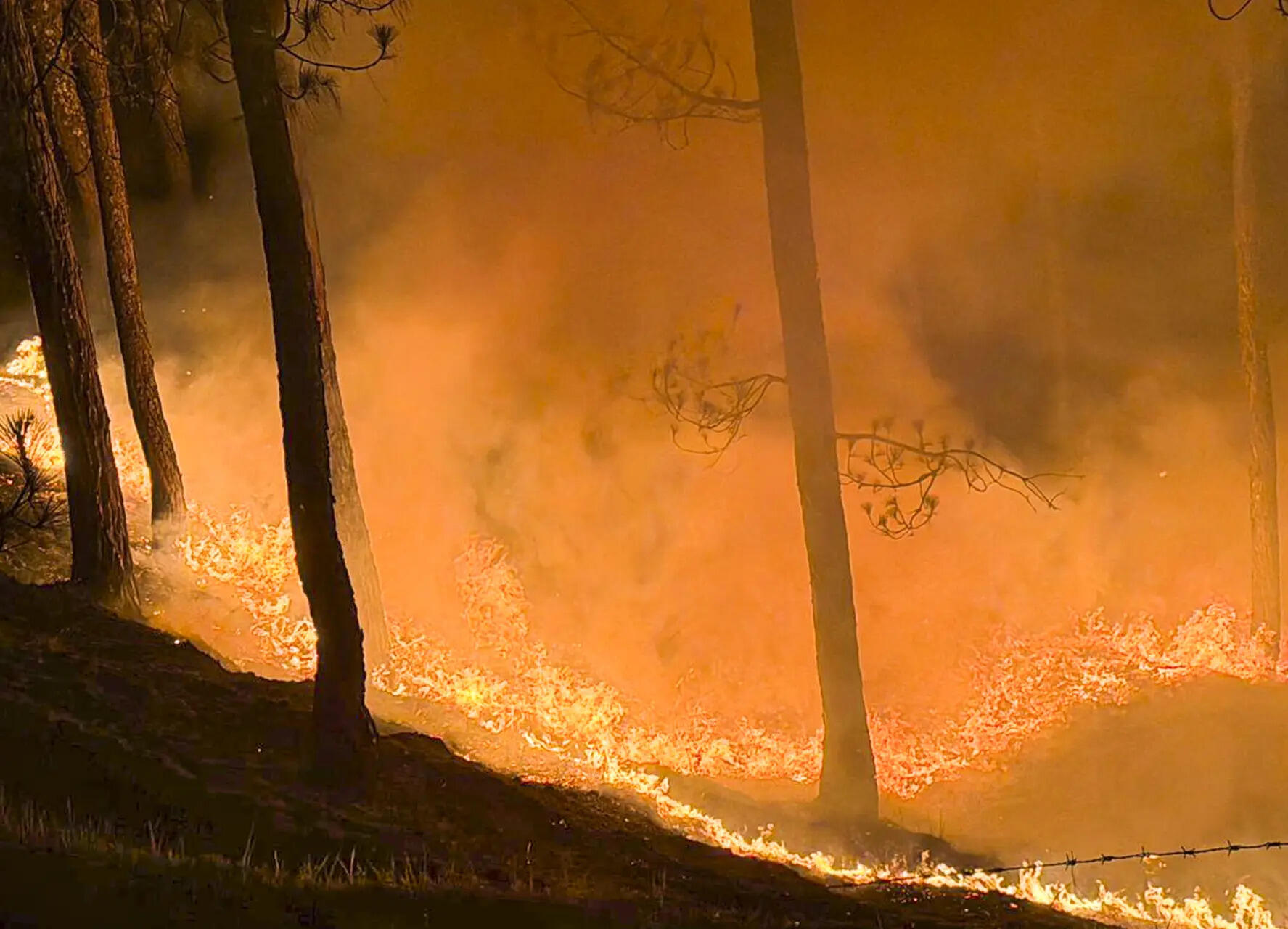 Forest Dept braces for difficult 2027 fire period amid El Nino fears