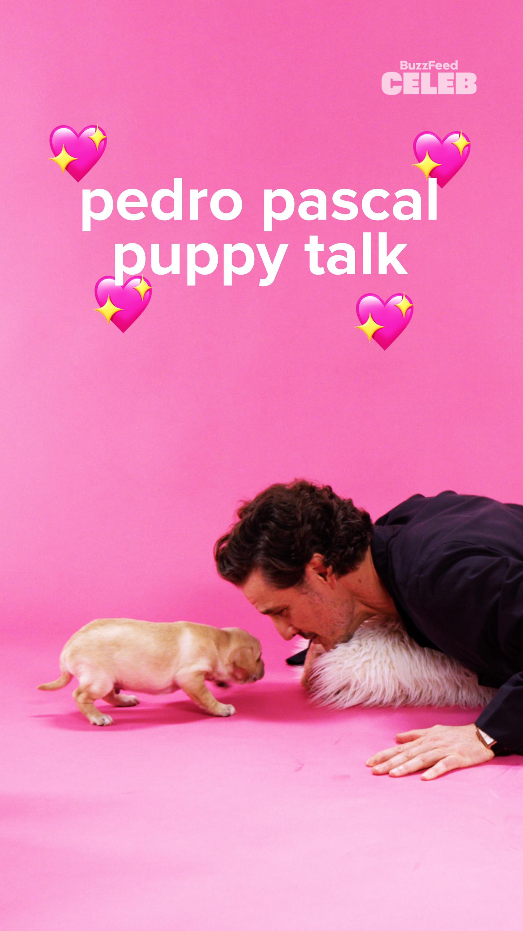 Pedro Pascal puppy interview | Puppy talk