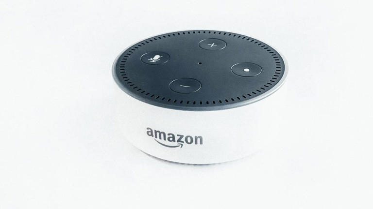 Bank of America resets Amazon stock forecast after Alexa for Shopping ...