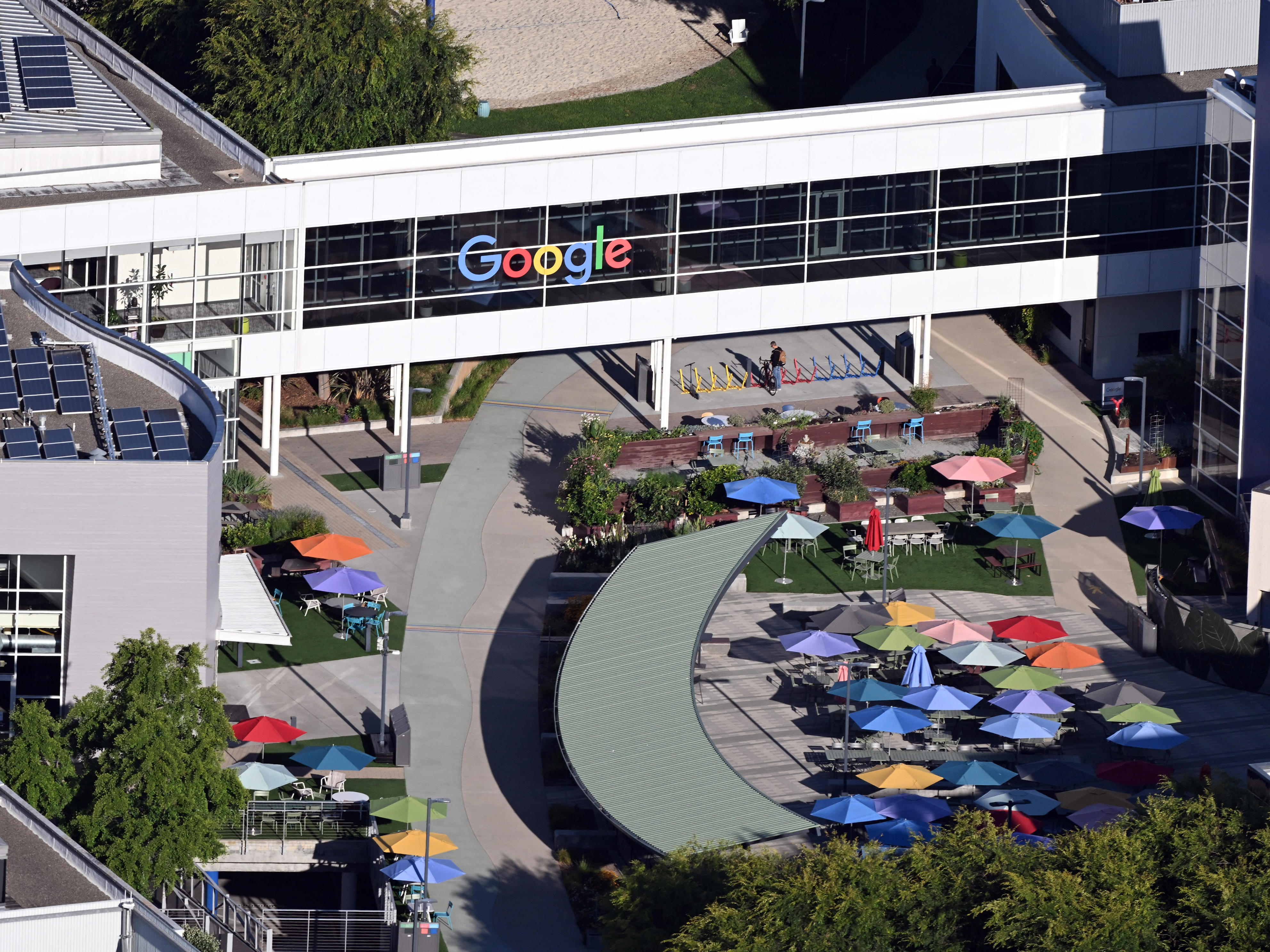 Google 'disregard' right now if you want to see where AI overviews fall ...
