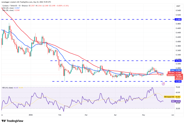 Price predictions 5/22: BTC, ETH, BNB, XRP, SOL, DOGE, HYPE, ADA, ZEC, BCH