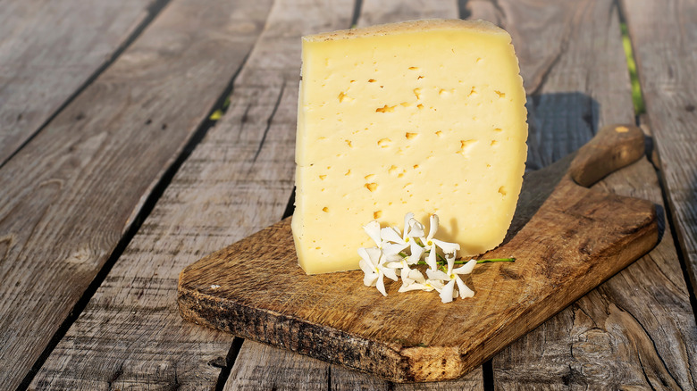 35 types of cheese, explained