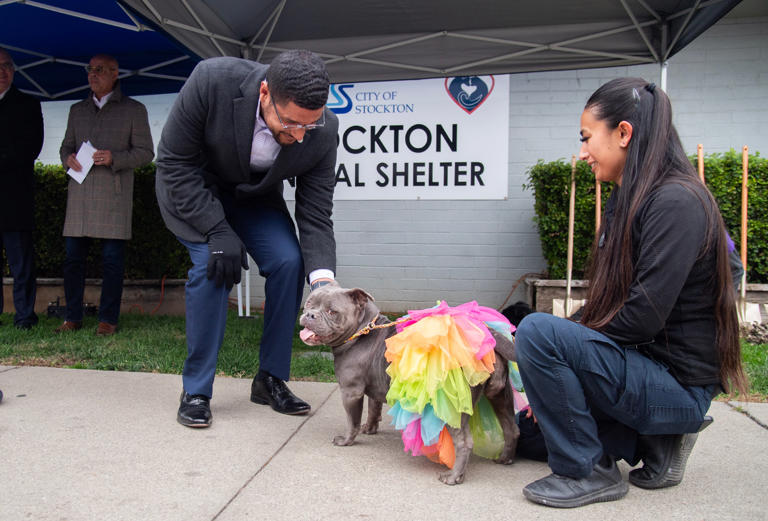 Stockton animal shelter closed following discovery of disease