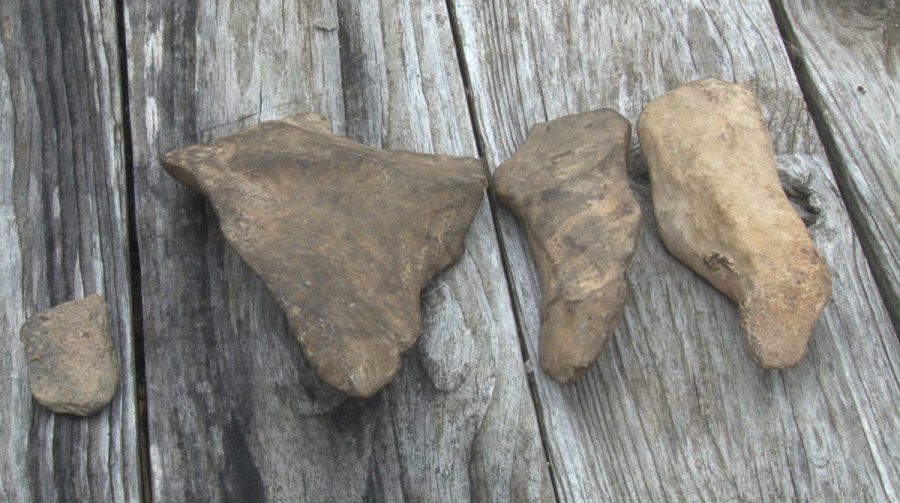 Local man claims to have found megalodon teeth in Bellaire