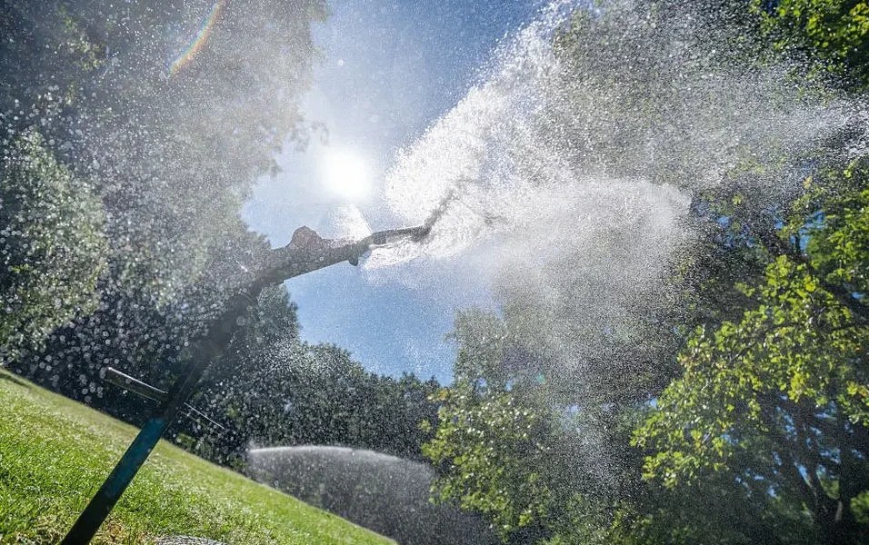 Lawn care tips for year-round green grass