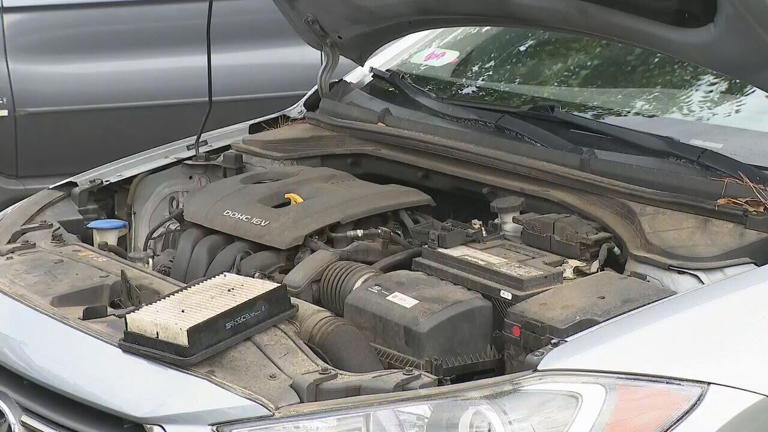 Flood-damaged cars arrive at Atlanta auto repair shops