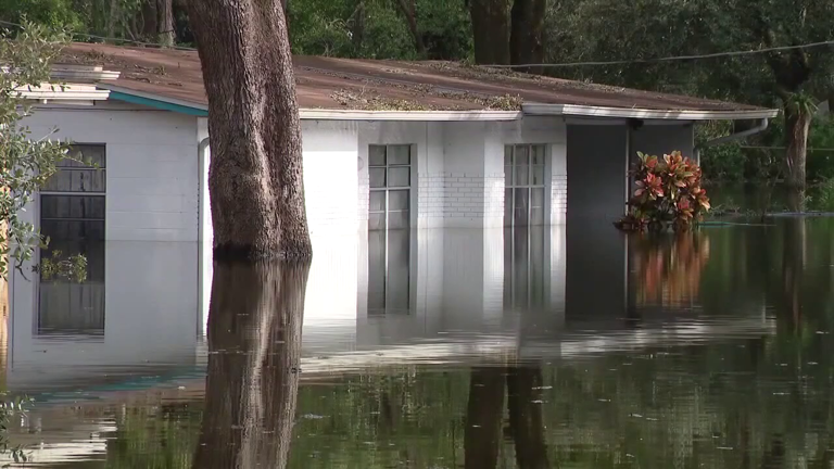 Tampa hurricane preparation: City officials outline emergency safety ...