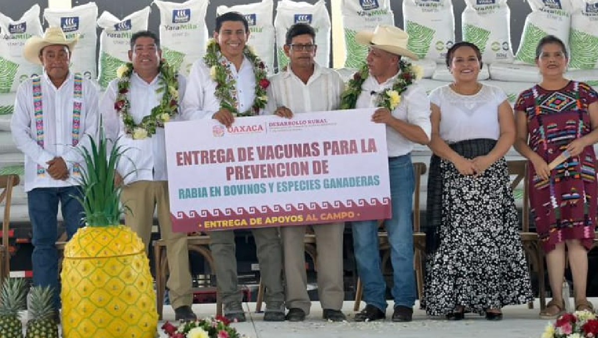 Primavera oaxaqueña invierte 79 mdp para transformar el campo en la ...