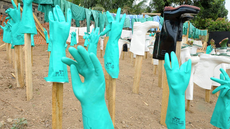 'Speed, money and compassion' - lessons from an Ebola survivor and ...