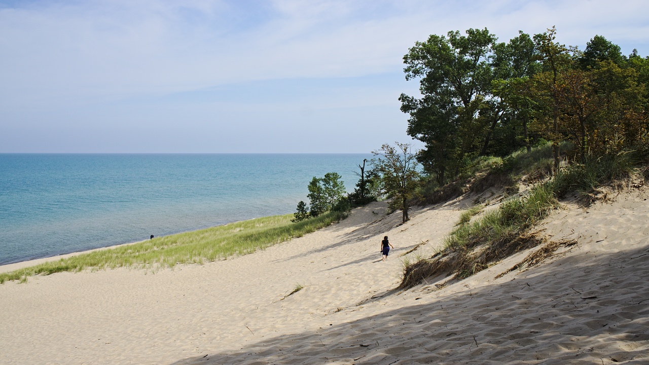 Waves, wild dunes, and plant species scientists are still discovering ...